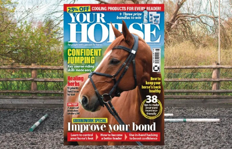 'Your Horse' Magazine 5 Week Test of our All Rounder Fly Rug | Animac ...