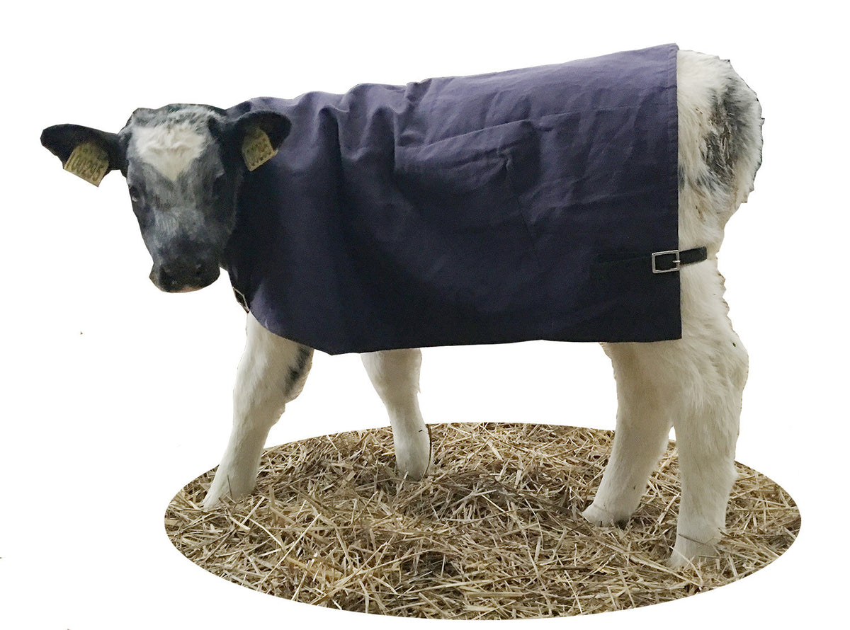 Calf Coats | Canvas Calf Jackets | AniMac